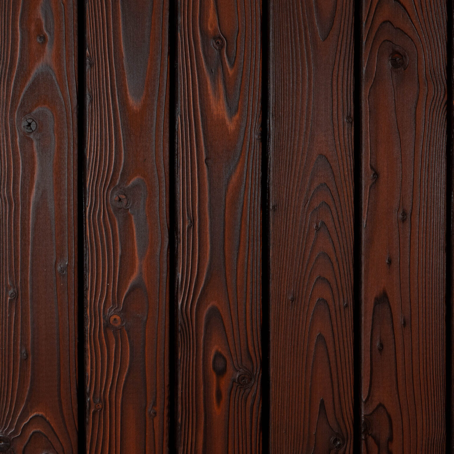 Dragonwood Chestnut Eglė | Dragonwood
