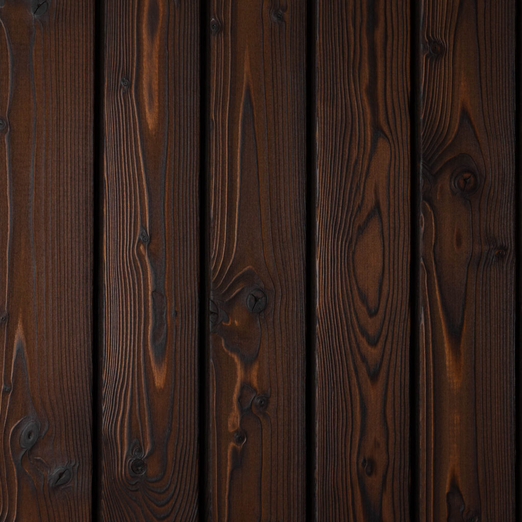 Dragonwood Hazelnut Eglė | Dragonwood